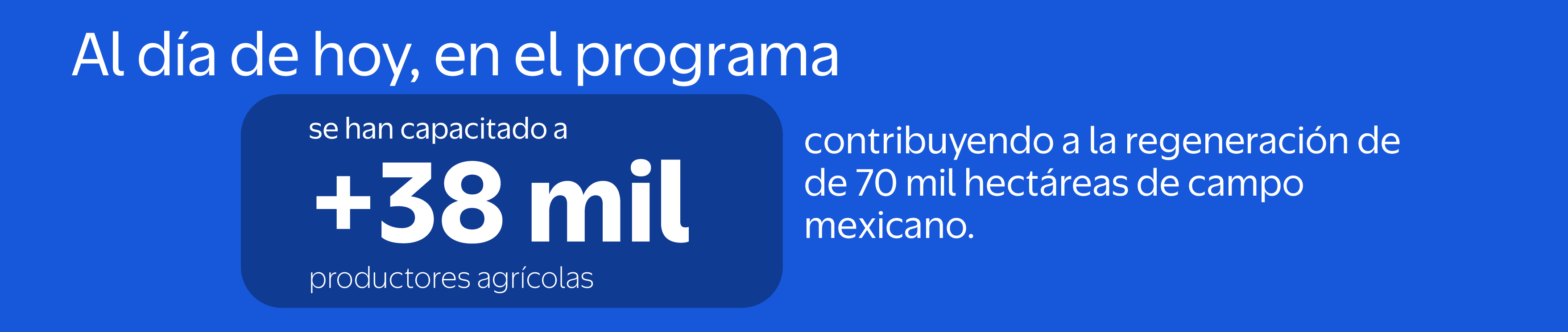 Fundación Walmart